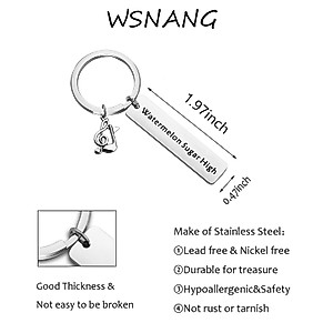 WSNANG Watermelon Sugar lyrics Inspired Gift Watermelon Sugar High Keychain Singer Fans Gift Music Lover Gift (Watermelon KC)