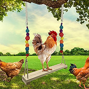 Chicken Swing,Chicken Perch,Wood Stand for Chick,Ladder Toys for Bird,Handmade Coop Swing for Chicken Bird,Parrot,Hens,Small Parakeets,Cockatiels,Macaws,Large Pet, Safe and Relief of Stress