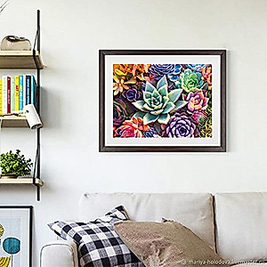 Succulent Diamond Painting Kits for Adults - 5D Diamond Art Kits for Adults Kids Beginner,DIY Flowers Full Drill Paintings with Diamonds Gem Art for Adults Home Wall Decor 11.8x15.7inch