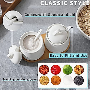 HAOTOP Ceramic Sugar Bowl 2 Pack, PorcelainJar with Tray, Spoon and Lid for Sugar, Pepper, Coffee, Spice, Salt, 12 Ounces (White)