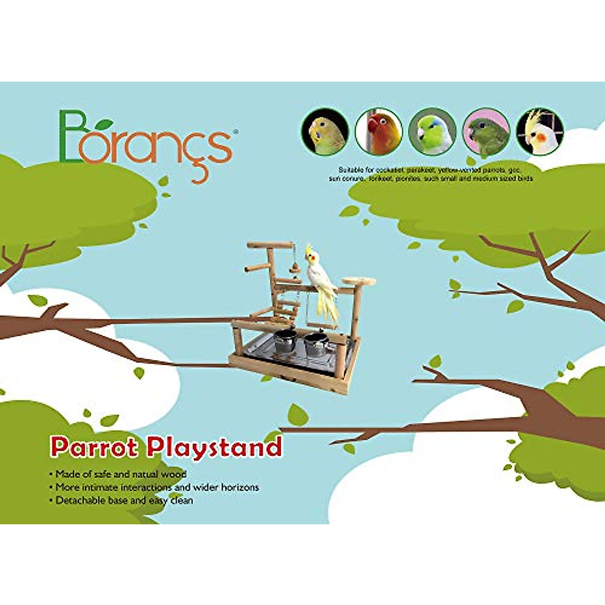 Borangs Parrots Playstand Bird Playground Wood Perch Training Stand Cockatiel Playpen Ladders Birds Swing Wood Gym Tabletop with Feeder Cups Toys Exercise Play(Design B)
