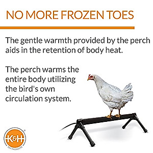 K&H Pet Products Thermo-Chicken Heated Perch Gray 36" 55W