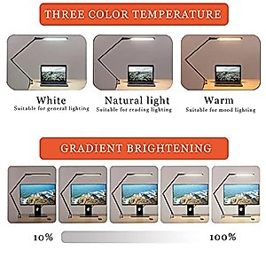 Desk Lamp with Clamp Eye-Care Swing Arm Desk Lamp Stepless Dimming Adjustable Color Temperature Modern Architect Lamp with Memory Timing Function for Study
