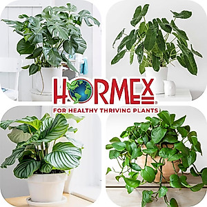 Hormex Rooting Powder #1 - for Moderately Difficult to Root Plants - 0.1 IBA Rooting Hormone for Plant Cuttings - Fast & Effective - Free of Alcohol, Dye, Gel & Preservatives for Healthier Roots, 21g