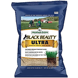 Jonathan Green (10323) Black Beauty Ultra Grass Seed - Cool Season Lawn Seed (25 lb)