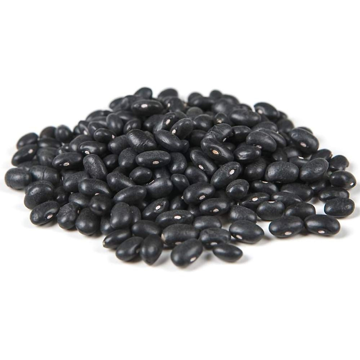 Commodity Canned Fruit and Vegetables Fancy Black Beans in Brine, Number 10 Can - 6 per case.