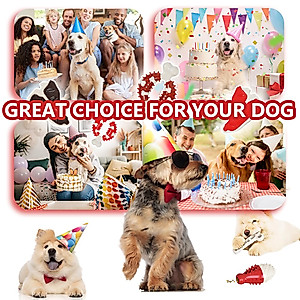 GHOBROFY 5 Pack Dog Chew Toys for Aggressive Chewers-Durable Dog Toys for Small and Medium Dogs Include Squeaky Toy- Nylon Puppy Bone Toys for Teething