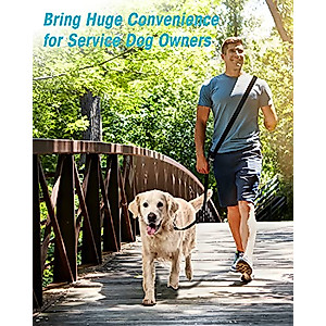 oneisall Hands Free Dog Leash,Multifunctional Dog Training Leads,8ft Nylon Double Leash for Puppy,Small & Large Dogs