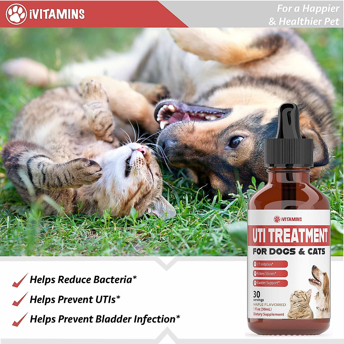 Dog UTI Treatment | Cat UTI Medicine | Cat UTI Remedy | Cranberry Supplement for Dogs | Pumpkin for Cats | Dog UTI | Cat UTI | Cranberry for Dogs | Cat Urinary Tract Infection Treatment | 1 fl oz