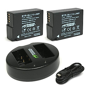 Panasonic LUMIX DMC-FZ2500 Digital Camera with 64GB Card and Accessory Bundle (7 Items)