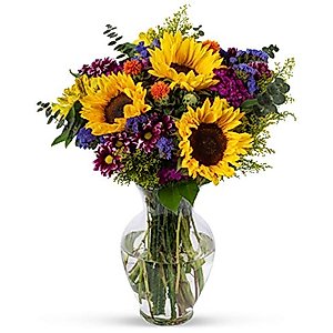 Benchmark Bouquets Flowering Fields, With Vase (Fresh Cut Flowers)