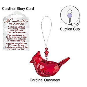 Cardinal of Comfort Visitor from Heaven Sympathy Gift Set Memorial Cardinal Gifts Bereavement Gifts Remembrance Gift for Loss of Father, Mom, Sister - Red Bird Crystal Window Décor