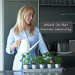 SCANDINORDICA Galvanized Herb Planter – 5 Herb Pots with Drainage Holes and Tray, Windowsill Planter, Indoor Herb Garden Planter Outdoor, Herb Pots for Indoor Plants | Windowsill Herb Garden