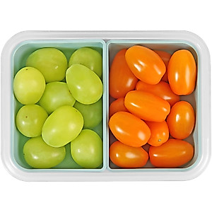 carrotez Food Storage Containers 2 Compartment, Meal Prep Container, Lunch Containers, Portion Control Container, BPA Free, Airtight Lids, Reusable, Snack Containers, 2 Cup (480ml)