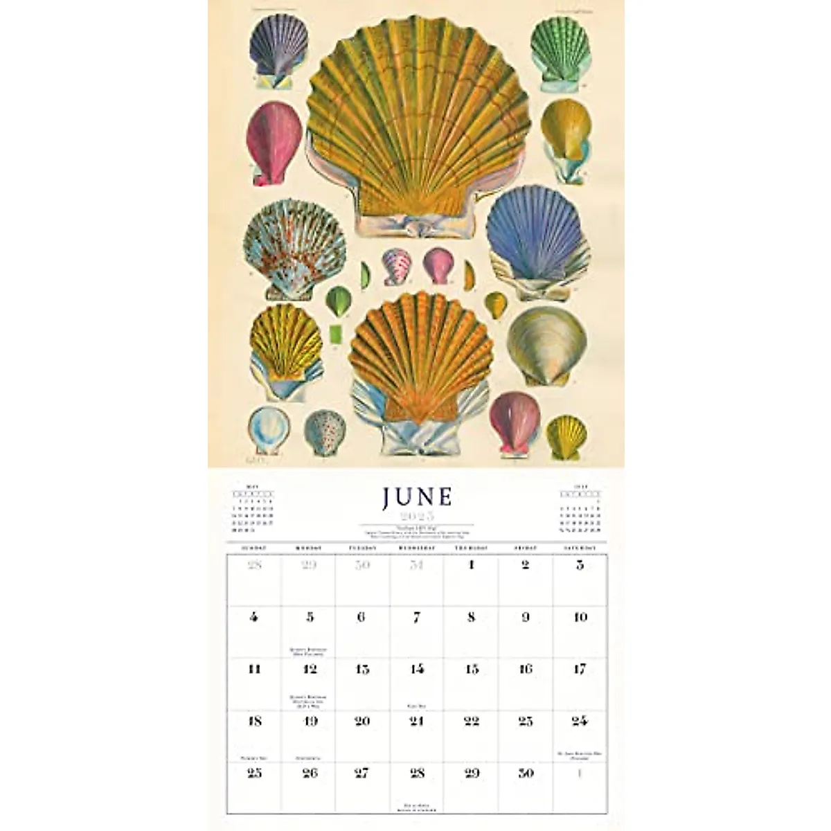 The World of John Derian Wall Calendar 2023: Hand-Colored Works of Art