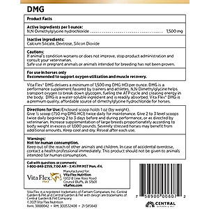 Vita Flex Pro DMG 1500 Horse DMG Supplement 5 Pounds, 80-Day Supply