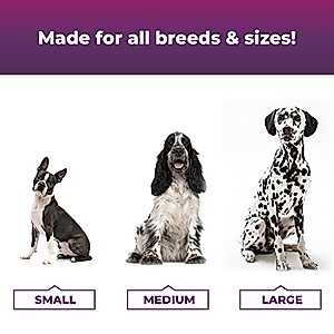 VetriScience Omega Plus Advanced Skin Supplement for Dogs – Fish Oil Supplement for Itchy Skin with Omegas 3, 6, 9 Fatty Acids and Added Nutrients