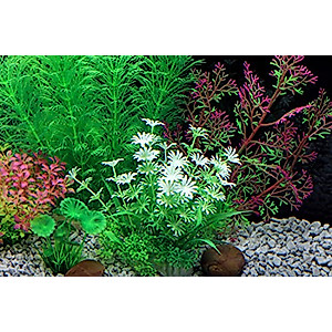QUMY Aquarium Plants Artificial Plastic Fish Tank Plants Decoration Set for All Fish 5 PCS