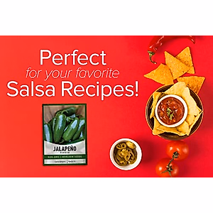 Jalapeno Pepper Seeds for Planting Heirloom Non-GMO Jalapeno Peppers Plant Seeds for Home Garden Vegetables Makes a Great Gift for Gardeners by Gardeners Basics