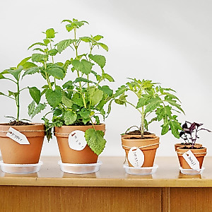 yuntop 9 Pack Clear Plastic Plant Saucer, Durable Plant Trays Flower Plant Pot Saucer Plant Container Accessories for Indoors & Outdoors, Stop Messes & Stains in Your Garden (6"+8"+10")