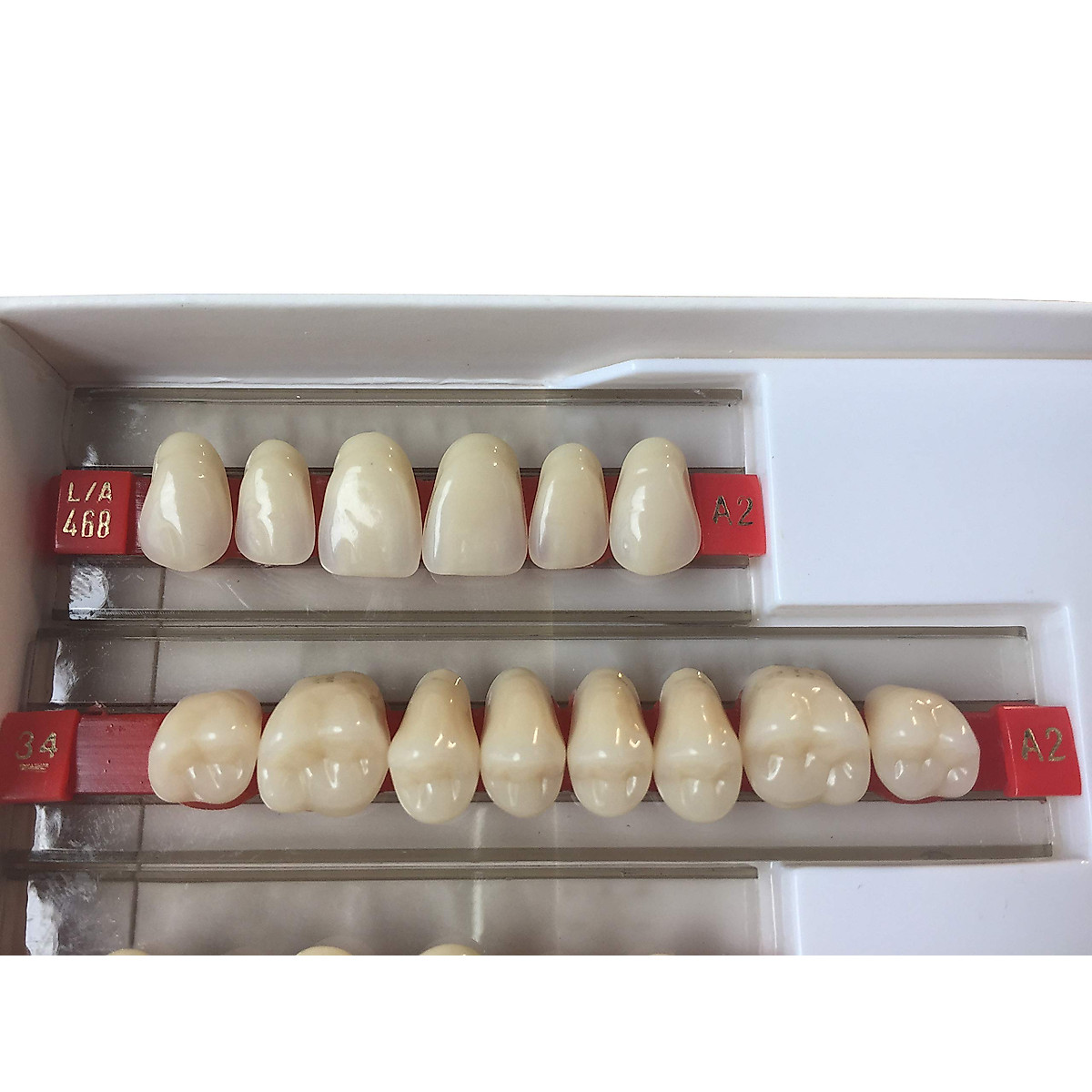 SDent® 2 Boxes 2 Layers Super Hard Synthetic Resin Teeth Multi-Layer Acrylic Composite False Teeth Denture Polymer Polymerial Materials & Full Set & A3 & 84PCS More Options on Size Name Chart