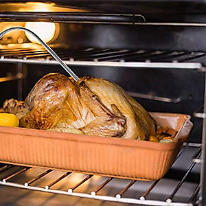 DENGNI Waterproof Thermometer Hybrid Probe Replacement for Digital Cooking Food Meat Thermometer.