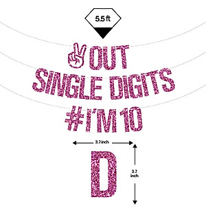 Out Single Digits I'm 10 Banner, Double Digits 10, Happy 10th Birthday Decorations for Girls, 10th Birthday Party Decoration Supplies Pink Glitter