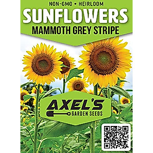 Mammoth Sunflower Seeds for Planting - Grow Giant Sun Flowers in Your Garden - 50 Non GMO Heirloom Seeds - Full Planting Instructions for Easy Grow - Great Gardening Gifts (1 Packet)