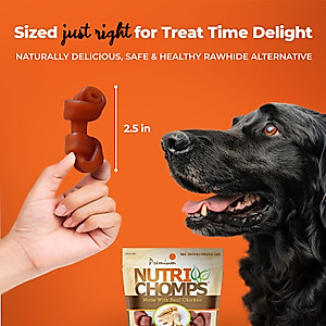 NutriChomps Dog Chews, 2.5-inch Knots, Easy to Digest, Rawhide-Free Dog Treats, 8 Count, Real Chicken flavor