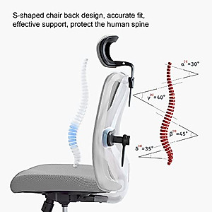 SIHOO M18 Ergonomic Office Chair for Big and Tall People Adjustable Headrest with 2D Armrest Lumbar Support and PU Wheels Swivel Tilt Function Grey