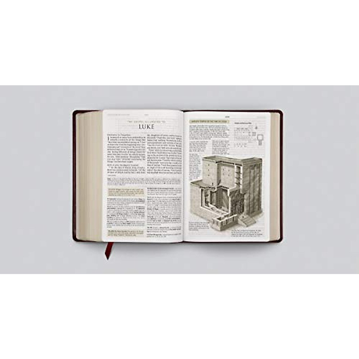 ESV Study Bible, Large Print (TruTone, Mahogany, Trellis Design)