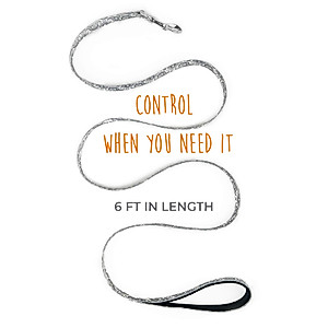 Mighty Paw Grey Paisley Designer Dog Leash - Soft Premium Polyester With Neoprene Padded Handle For Ultimate Comfort - All Metal Hardware For Most Playful Dogs - Built To Last - Perfect Everyday Leash