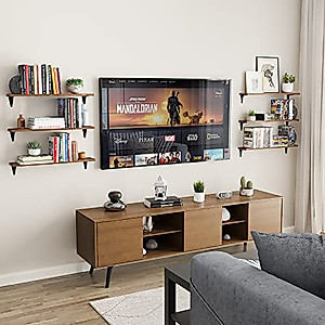 Wallniture Arras Floating Shelves for Wall, Bookshelves & Wall Storage Shelves for Living Room Decor, Office, Bedroom Walnut 24" Bookshelf Set of 6