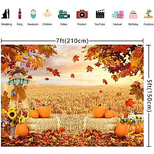 WOLADA 7x5FT Fall Backdrop Autumn Farm Harvest Backdrop Wheat Field Backdrop Thanksgiving Backdrop Farm Scene Backdrop Thanksgiving Photo Backdrop Thanksgiving Backdrops for Photography 12608