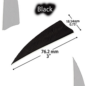 25 Pack 3 Inch Archery Feathers Real Turkey Fletches Fletching Right-Wing for Bows Arrows Crossbow Bolts