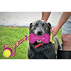 JADEWELL 3-in-1 Durable Dog Chew Toy with Natural Rubber Dental Bone Rope and Tennis Ball for Aggressive Chewers Clean Teeth Interactive Toys for Puppy Small Medium Large Dogs Cats Pets