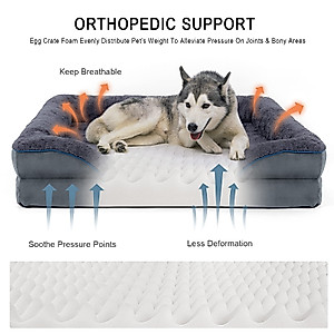 Bnonya Dog Bed, Dog Bed for Large Dogs, Bolster Pet Bed Couch with Removable Washable Cover, Egg Foam