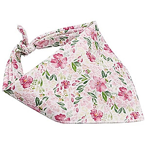 Lionet Paws Dog Bandana for Small Medium Large Dogs, Cat Dog Kerchief Dog Triangle Bibs Scarf for Girl