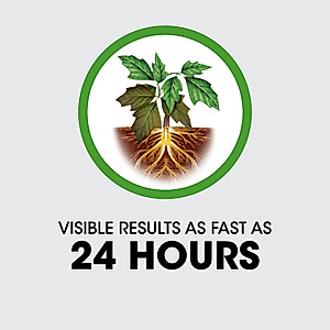 Roundup Ready-To-Use Poison Ivy Plus Tough Brush Killer for Weeds, Grass, Stumps and Vines, Comfort Wand, 1.33 gal.