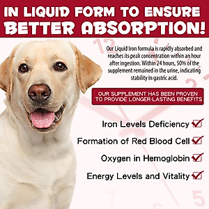 Iron Supplements for Dogs & 180 Chews Dog Probiotics and Digestive Enzymes