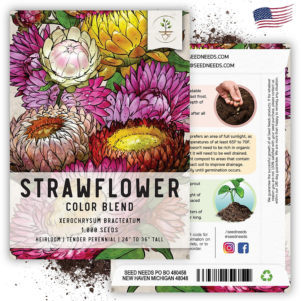 Seed Needs, Strawflower Seeds - 1,000 Heirloom Seeds for Planting Xerochrysum bracteatum - Mixture of Colorful Wildflowers to Attract Pollinators (1 Pack)