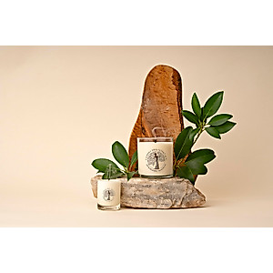 Element Tree Essentials Premium Lotion Candle: Downtown Asheville, White