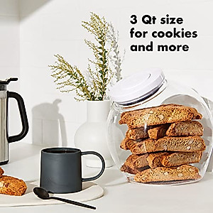 OXO Good Grips 3.0 Qt POP Medium Cookie Jar - Airtight Food Storage - for Snacks and More