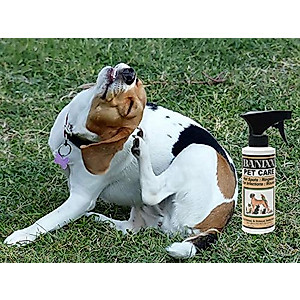 Banixx Pet Care 8oz for Ear Infections, Hot Spots, Itchy Dry Skin, Ringworm, Yeast Infections. Safe Around The Eye.
