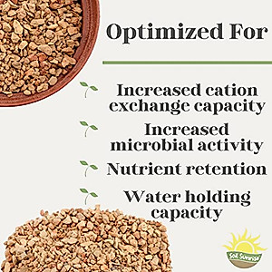 Calcined Clay Soil Amendment (2 Quarts), for Bonsai Tree Potting and Other Plants, Regulates Moisture