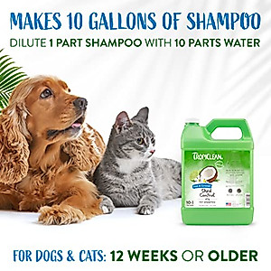 TropiClean Lime & Coconut Deshedding Dog Shampoo for Shedding Control | Natural Pet Shampoo Derived from Natural Ingredients | Cat Friendly | Made in The USA | 1 gal.
