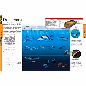 Ocean: A Visual Encyclopedia (DK Children's Visual Encyclopedias)