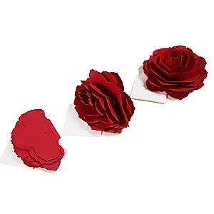 Blooming Flower Pop-up Greeting Card, Birthday Card, Mother's Day, Christmas Card, Sympathy Card, All Occasion (Red Rose)