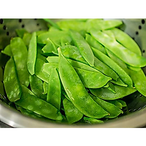 30 Mammoth Melting Sugar Pod Pea Seeds for Planting Heirloom Non GMO 7 Grams of Seeds Snow Pea Garden Vegetable Bulk Survival