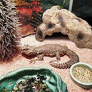 Flushbay Reptile Rock Hide Cave Resin Large Reptile Hideouts Habitat Cave Terrarium Decorations for Bearded Dragon Lizards Geckos Leopard Chameleons Frogs Turtles Snakes